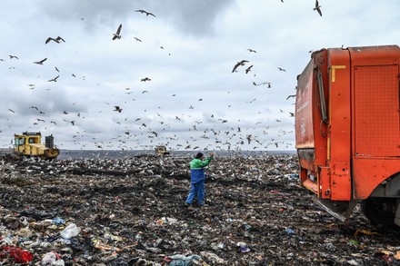 Istanbul Municipality Waste Facility Employee Walks Editorial Stock ...