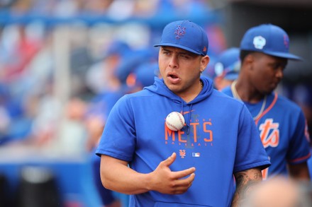 __COUNT__ Cardinals v Mets-Spring Training Baseball, Port St. Lucie ...
