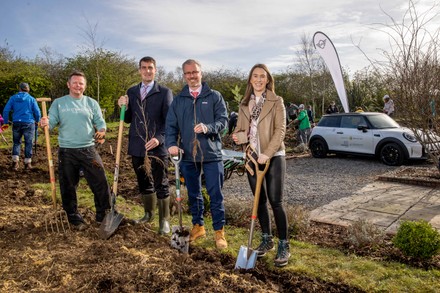 Mini Ireland Together Conservation Charity Earthwatch Editorial Stock ...