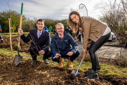 Mini Ireland Together Conservation Charity Earthwatch Editorial Stock ...