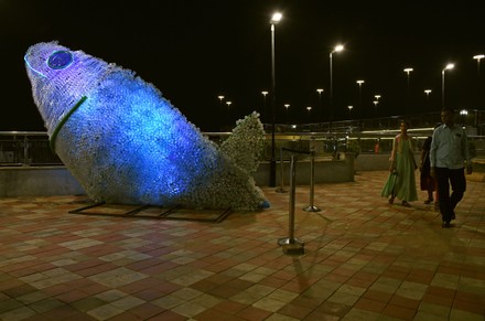 250 Fish installation Stock Pictures, Editorial Images and Stock Photos ...