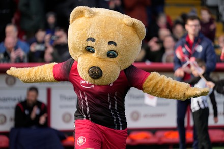 Stevenage Mascot Boro Bear Celebrates Editorial Stock Photo - Stock ...