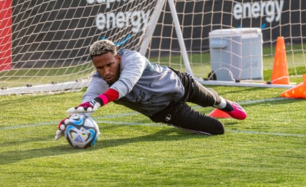 Perus National Soccer Goalkeeper Pedro Gallese Editorial Stock Photo ...