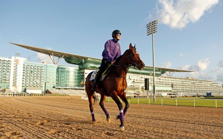 Do Deuce Training Dubai Turf Meydan Editorial Stock Photo - Stock Image ...
