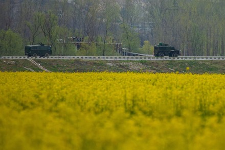 Indian Army Vehicles Patrol On Kashmirs Editorial Stock Photo - Stock ...