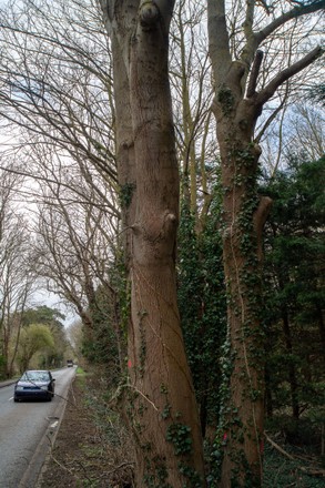 100 Bray village Stock Pictures, Editorial Images and Stock Photos ...