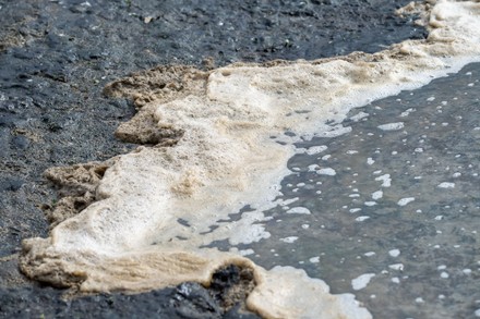 Brown Foam Either Naturally Occurring Possibly Editorial Stock Photo ...