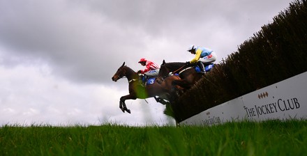 exeter races Stock Photos (Exclusive) | Shutterstock