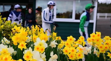 Trainer Ms Georgina Nicholls Race 6 Editorial Stock Photo - Stock Image ...