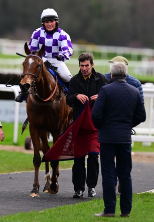 Viroflay Ridden By Olive Nicholls Race Editorial Stock Photo - Stock ...