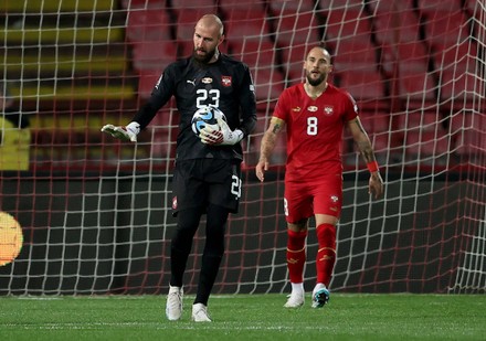 Serbias Goalkeeper Vanja Milinkovicsavid Gives Instructions Editorial ...