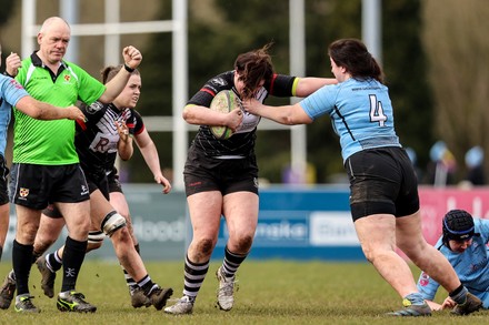 Cooke Vs Galwegians Cooke Team Stand Editorial Stock Photo - Stock ...