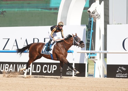 Meydan Racecourse Dubai Uae Godolphin Mile Editorial Stock Photo ...