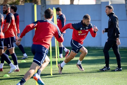 Malta National Soccer Team Player Steve Editorial Stock Photo - Stock ...