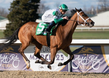 __COUNT__ Horse Racing Jeff Ruby Stakes Day, Florence, USA - 25 Mar ...