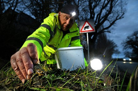 Pictured Andrew Cleave Collects Toad Side Editorial Stock Photo - Stock ...