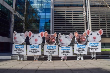 Peta Activists Hold Huge Mouse Rat Editorial Stock Photo - Stock Image ...
