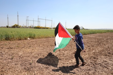 __COUNT__ Palestinians plant an olive tree near the border with Israel ...