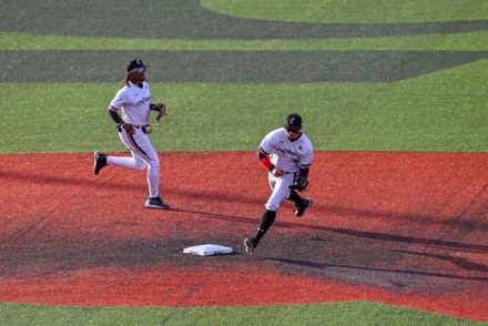 250 Uc baseball stadium Stock Pictures, Editorial Images and Stock ...