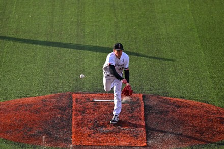 250 Uc baseball stadium Stock Pictures, Editorial Images and Stock ...