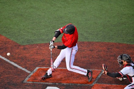Louisville Infielder Ryan Mccoy Seen Bat Editorial Stock Photo - Stock ...