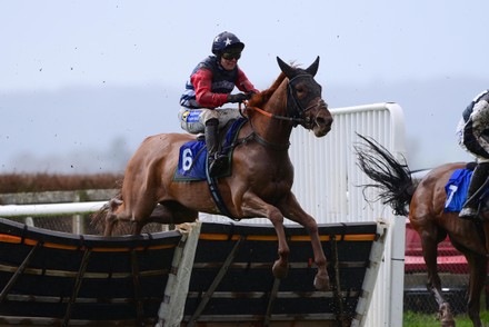 Race Winner Flash Gorcombe Ridden By Editorial Stock Photo - Stock ...
