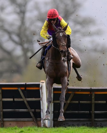 Hrh Princess Royal Arrives Taunton Racecourse Editorial Stock Photo ...