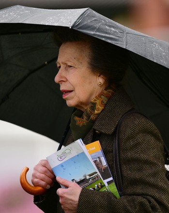 Hrh Princess Royal Taunton Racecourse Taunton Editorial Stock Photo ...