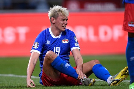 Philipp Gassner Action During Uefa Euro Editorial Stock Photo - Stock ...