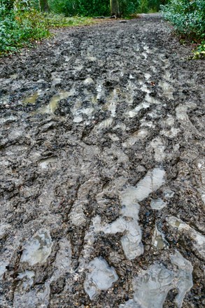 Foot Paths Become Waterlogged Muddy Quagmires Editorial Stock Photo ...