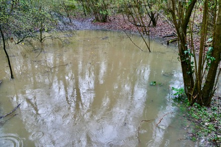Foot Paths Become Waterlogged Muddy Quagmires Editorial Stock Photo ...
