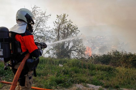 Firefighter Tries Extinguish Forest Fire Burning Editorial Stock Photo ...