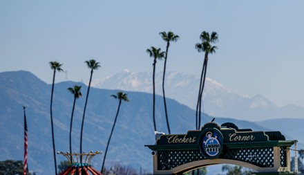 2023 Arcadia Ca Usa Bird Rests Editorial Stock Photo - Stock Image ...