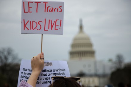 Demonstrator Holds Sign During Queer Transgender Editorial Stock Photo ...
