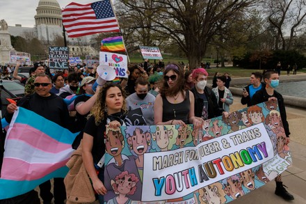 Demonstrators Hold Transgender Flag During Queer Editorial Stock Photo ...
