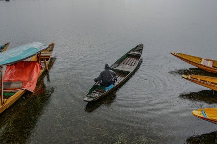 Boatman Rows His Boat Across Dal Editorial Stock Photo - Stock Image ...