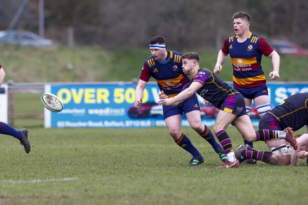 __COUNT__ Energia All-Ireland League Division 2C, Shaw's Bridge ...