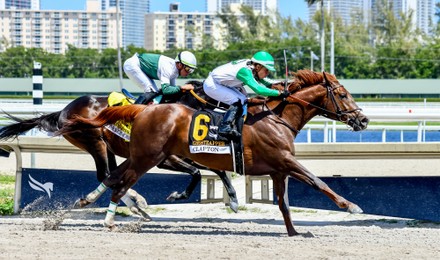 __COUNT__ Horse Racing Florida Derby Day, Hallandale Beach, USA - 01 ...