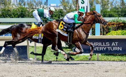 __COUNT__ Horse Racing Florida Derby Day, Hallandale Beach, USA - 01 ...