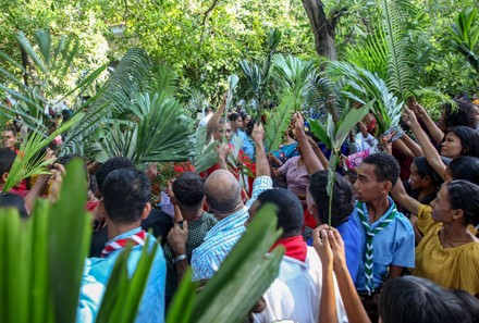 Roman Catholic Devotees Hold Palm Fronds Editorial Stock Photo - Stock ...