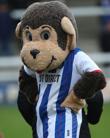 Hartlepool Uniteds Oliver Finney Celebrates After Editorial Stock Photo ...