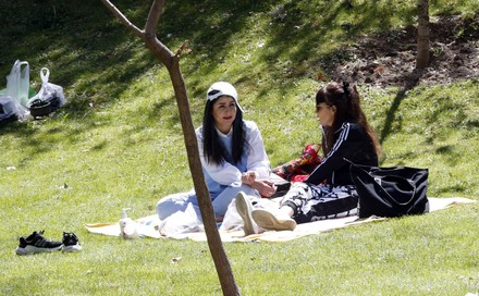 Iranians Picnic During Iranian Nature Day Editorial Stock Photo - Stock ...