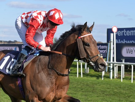 Bucephalus Rose Dawes Wins Injured Jockeys Editorial Stock Photo ...