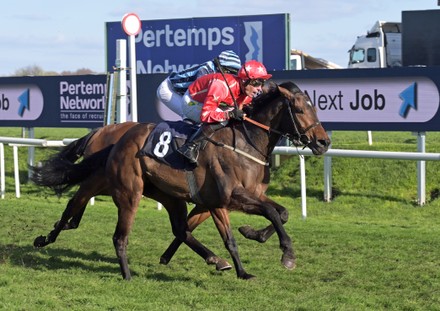 Bucephalus Rose Dawes Wins Injured Jockeys Editorial Stock Photo ...