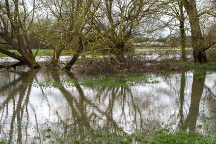 9 Ockwells park Stock Pictures, Editorial Images and Stock Photos ...