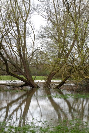 9 Ockwells park Stock Pictures, Editorial Images and Stock Photos ...