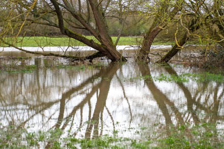 9 Ockwells park Stock Pictures, Editorial Images and Stock Photos ...