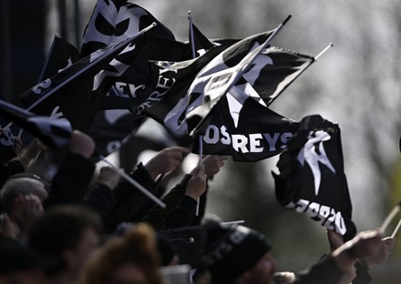 Ospreys Fans Wave Their Flags During Editorial Stock Photo - Stock ...
