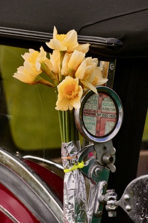 Participants Bean Car Club Daffodil Run Editorial Stock Photo - Stock ...
