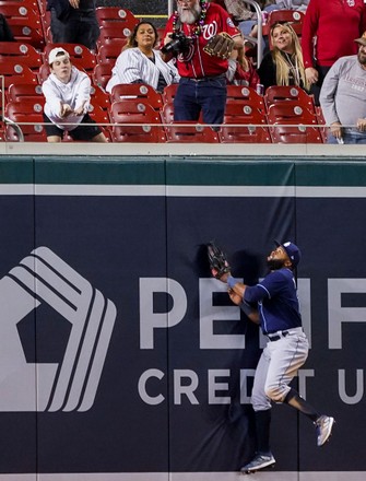 Fan Catches Home Run Ball Washington Editorial Stock Photo - Stock ...